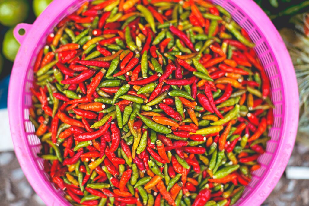 Growing the Best Peppers - London Middlesex Master Gardeners