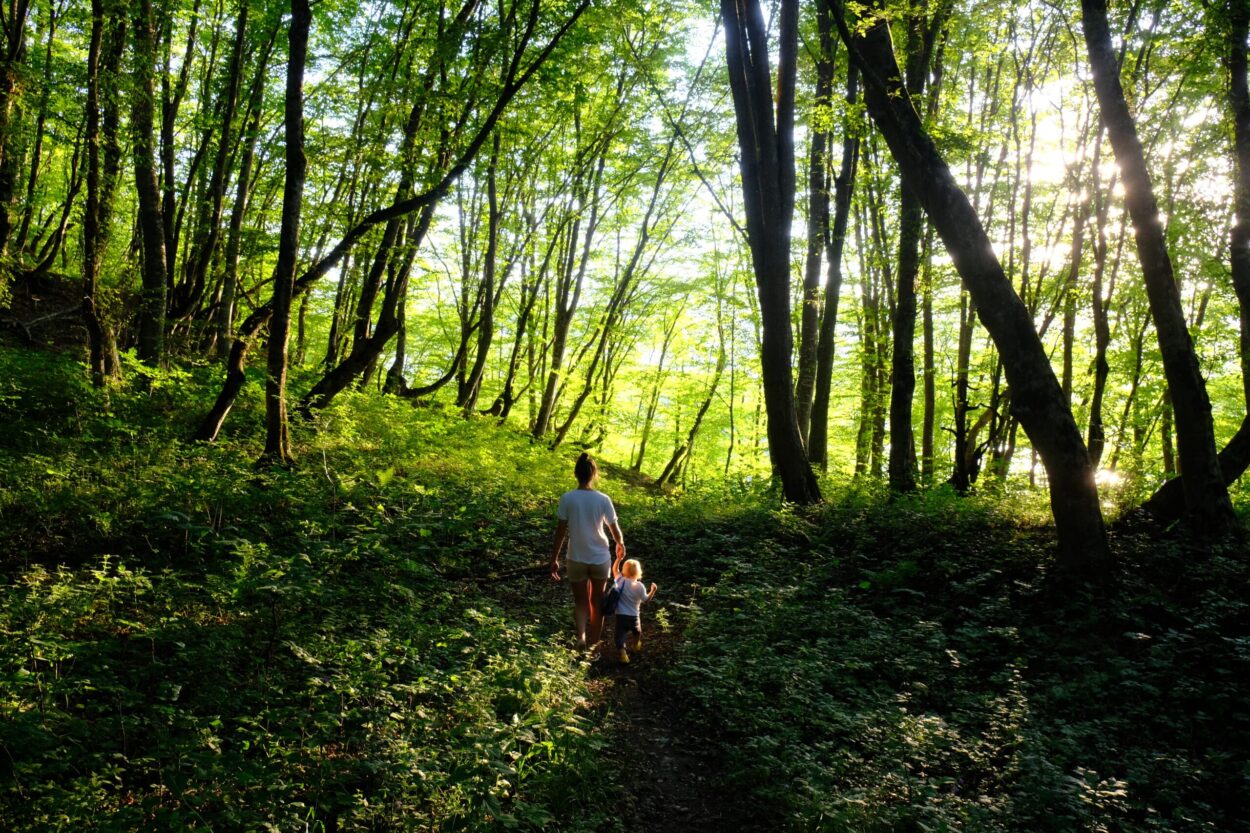 Woodlands and Trails in London area to explore - Learn More